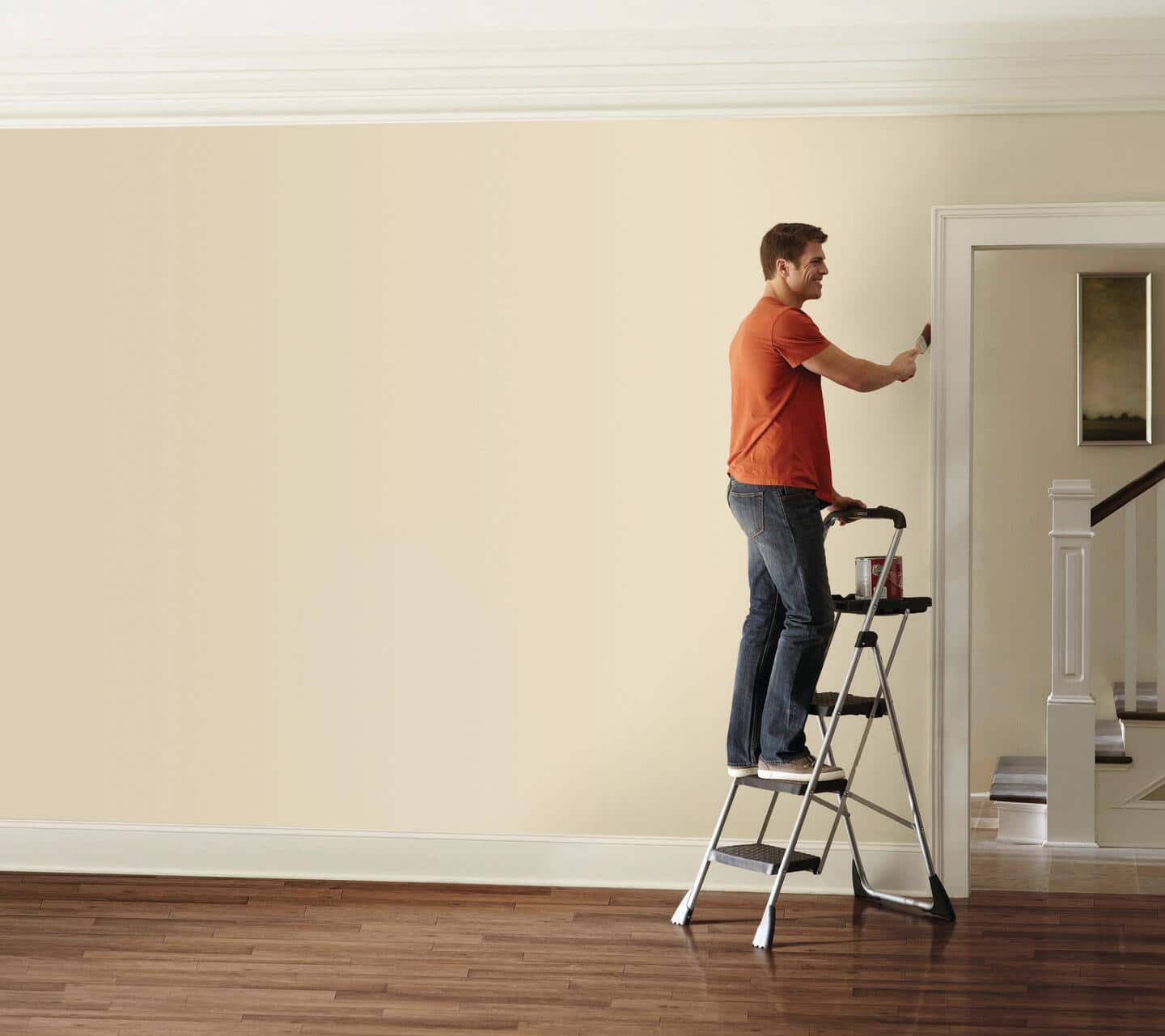 Paint The Home Depot
